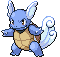 Pokemon Card